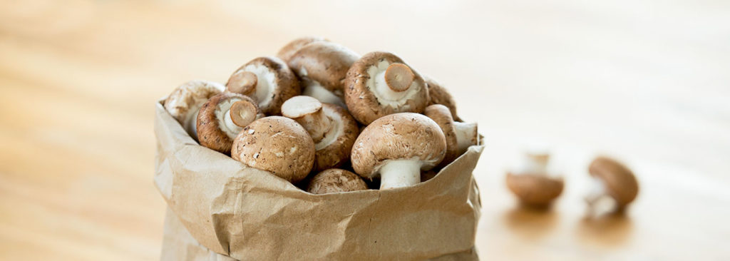 All About Mushrooms | Learn More About Mushrooms | Mushroom Council