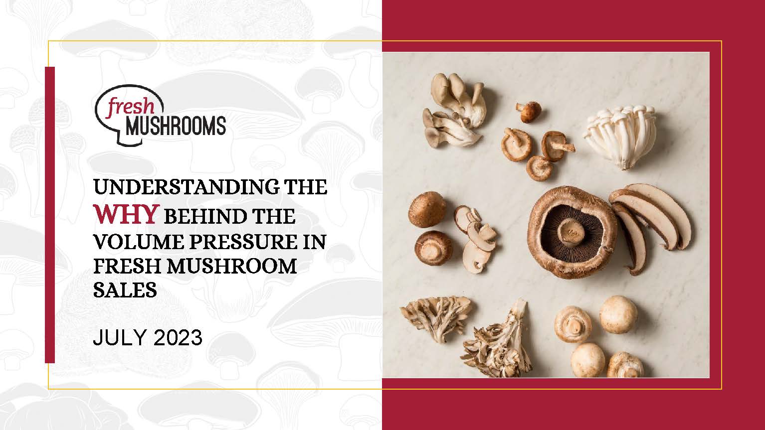 Mushroom Retail Tracker Report by Mushroom Council